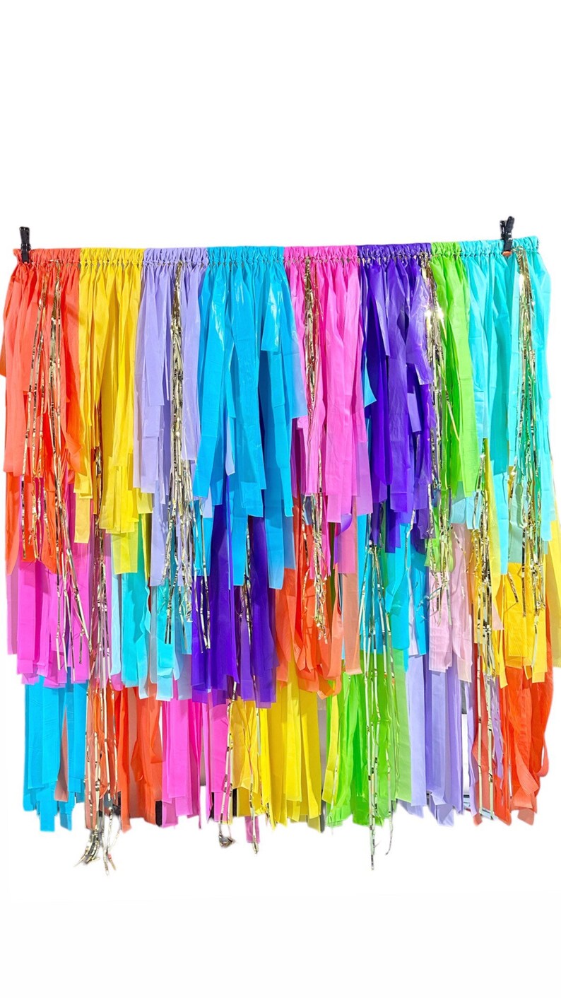 Fiesta Fringe Backdrop: Rainbow Party Decor - Etsy