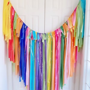 Colorful Fringe Backdrop: Mexican Fiesta Party Decor - Etsy