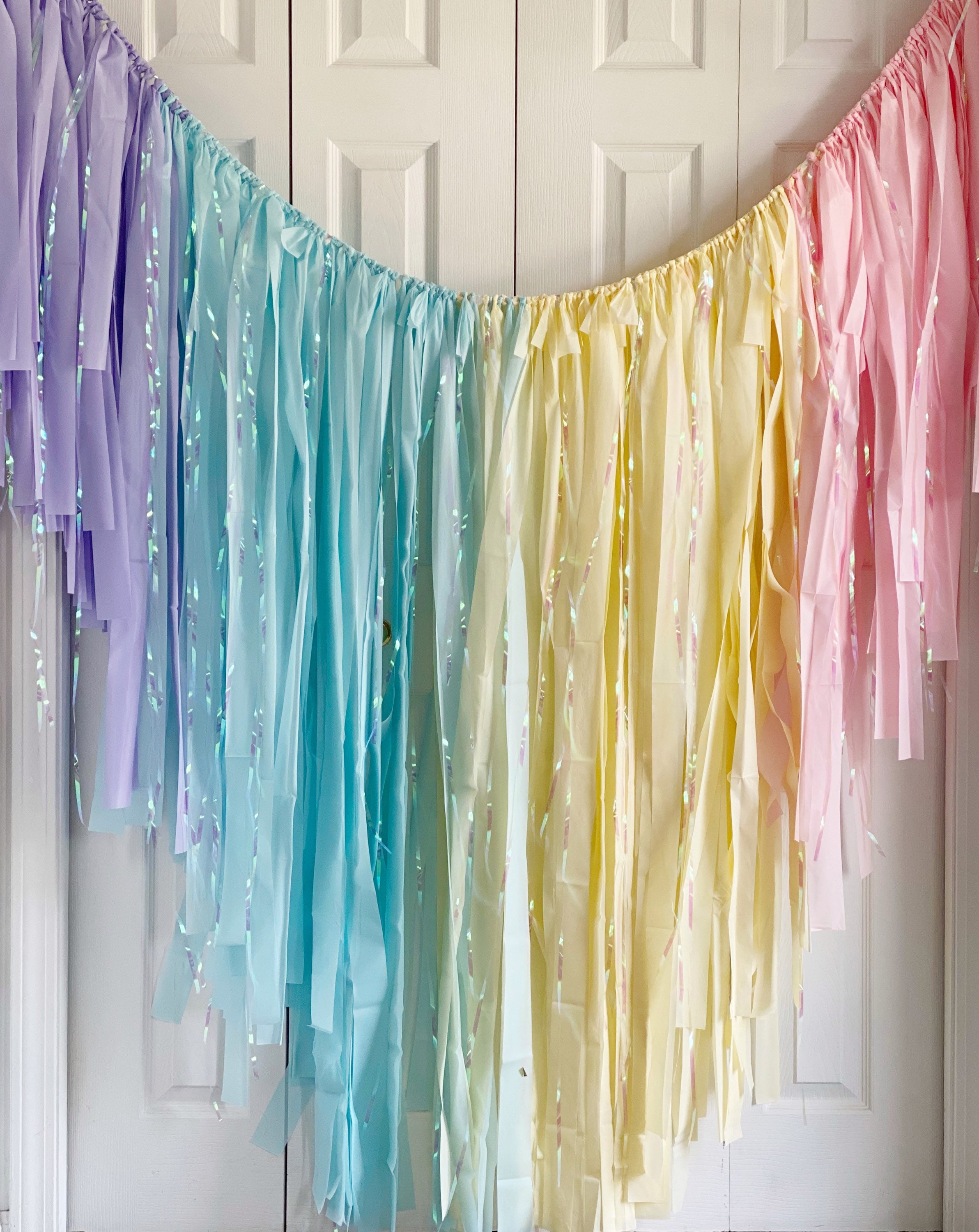 Pastel Ice Cream Fringes Backdrop, Plastic Streamers - Etsy