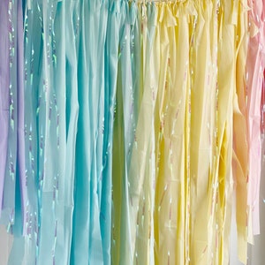 Pastel Ice Cream Fringes Backdrop, Plastic Streamers - Etsy