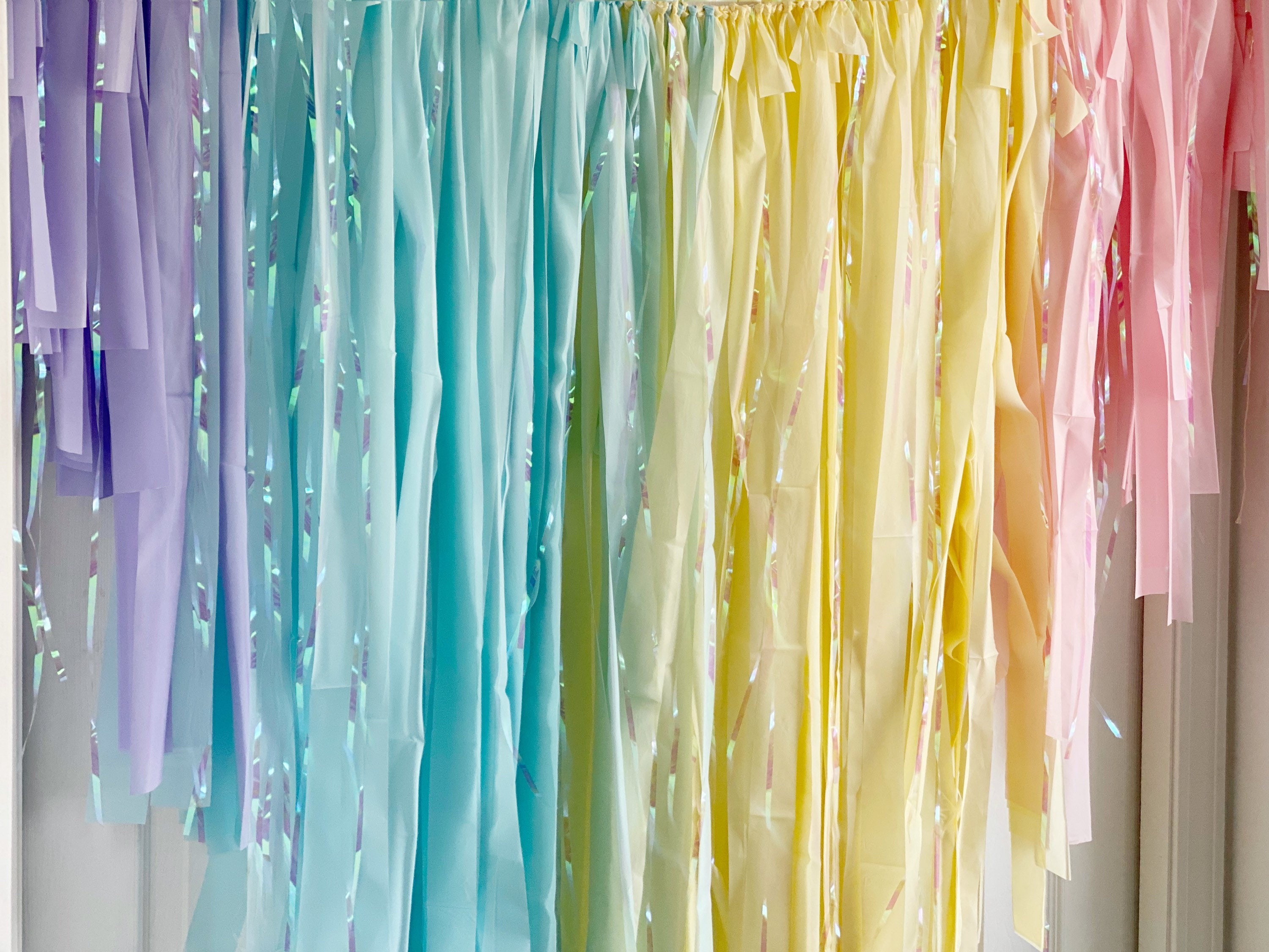 Pastel Ice Cream Fringes Backdrop, Plastic Streamers - Etsy