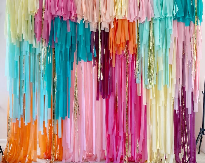 Fiesta Fringe Photo Backdrop - Etsy