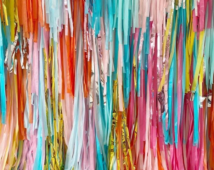 Birthday Party Backdrop Fringes/streamers/baby Shower/bachelorette ...