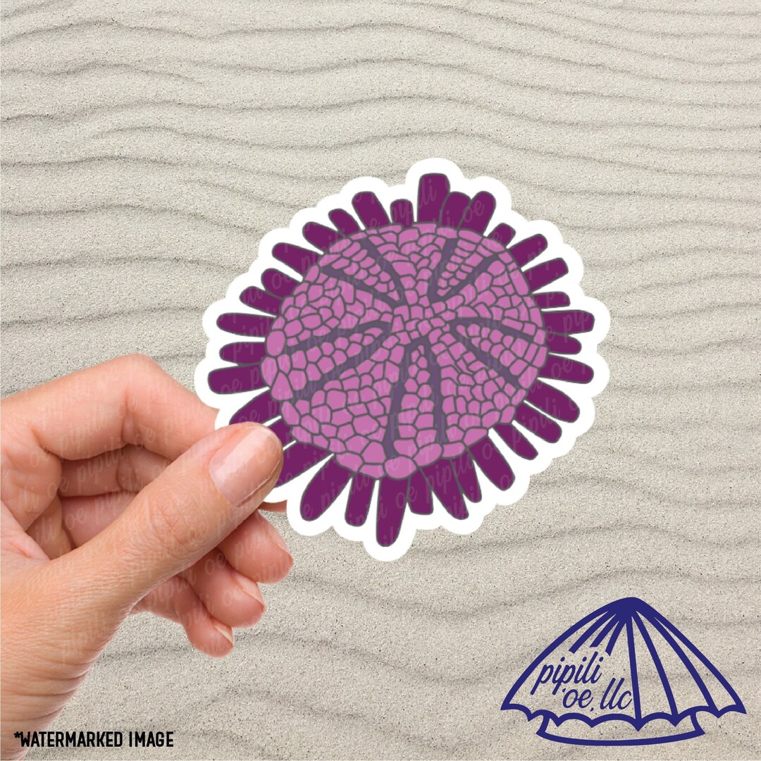 Haukeuke - Helmet Urchin Sticker - Sea Urchin Sticker - Hawaii Ocean ...