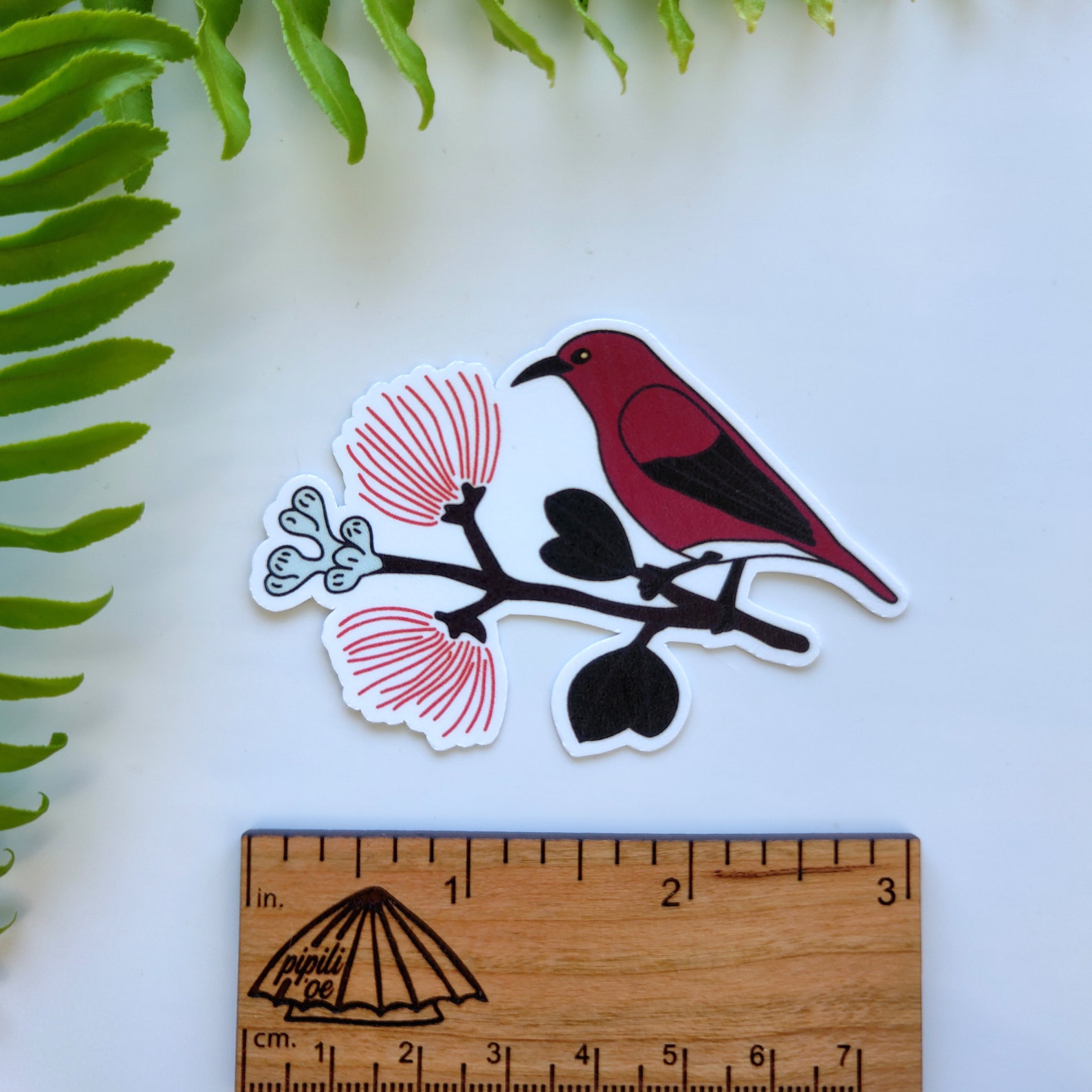 Apapane Sticker Hawaii Bird Sticker Bird Sticker | Etsy