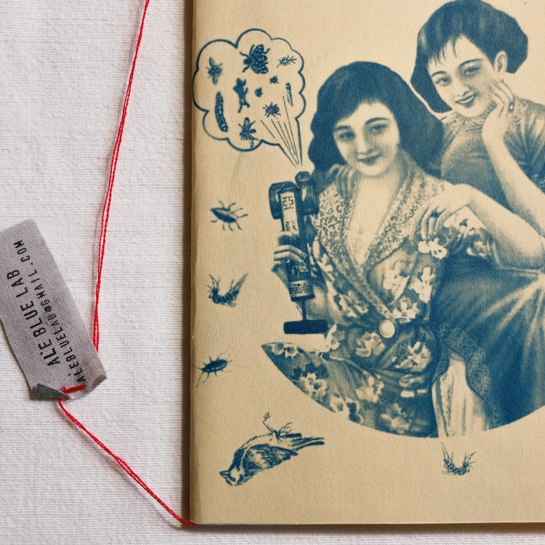 DDT is Good for Me, Set of 2 Cyanotyped Notebook, A5 Size - Etsy