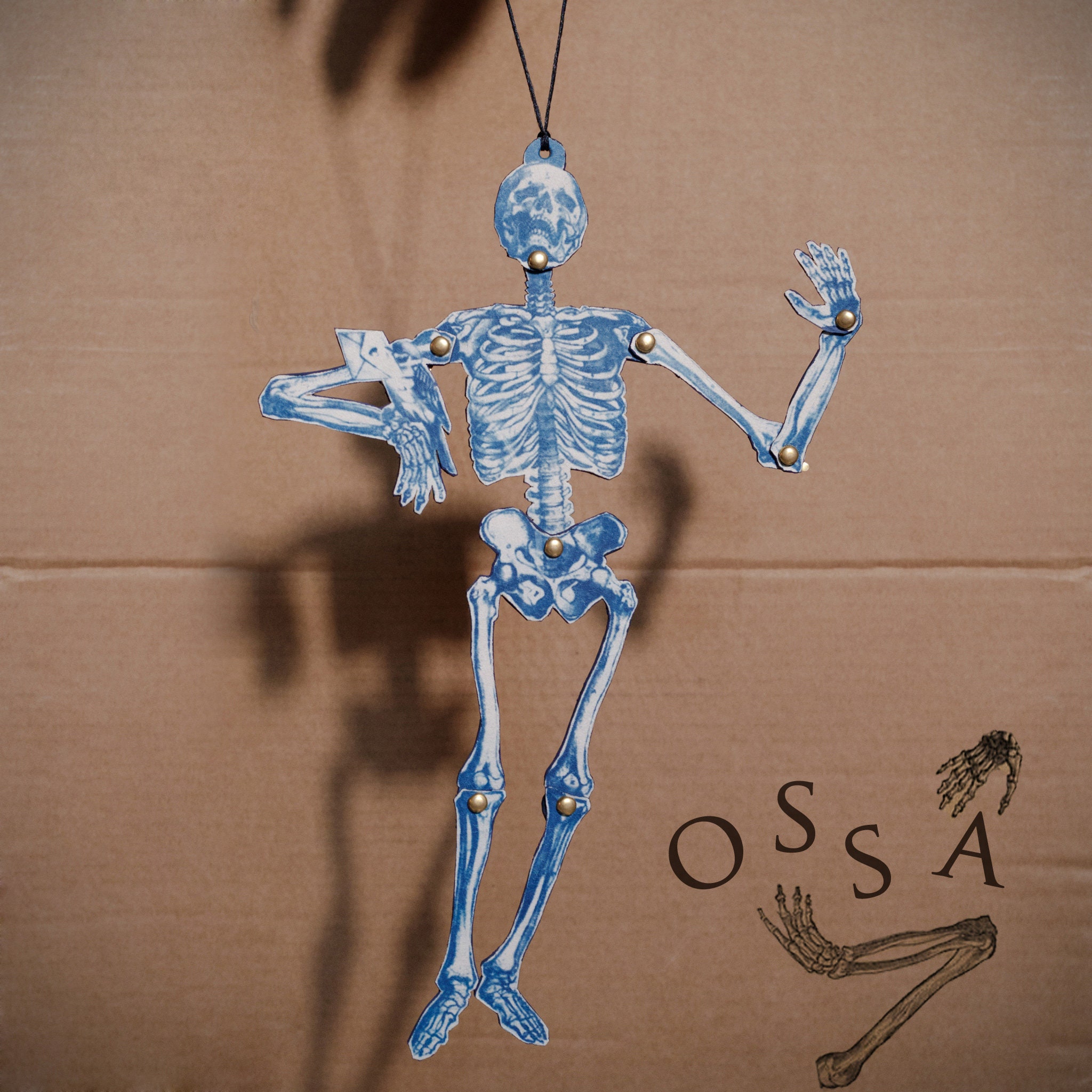 Bones cyanotyped paper doll original print | Etsy