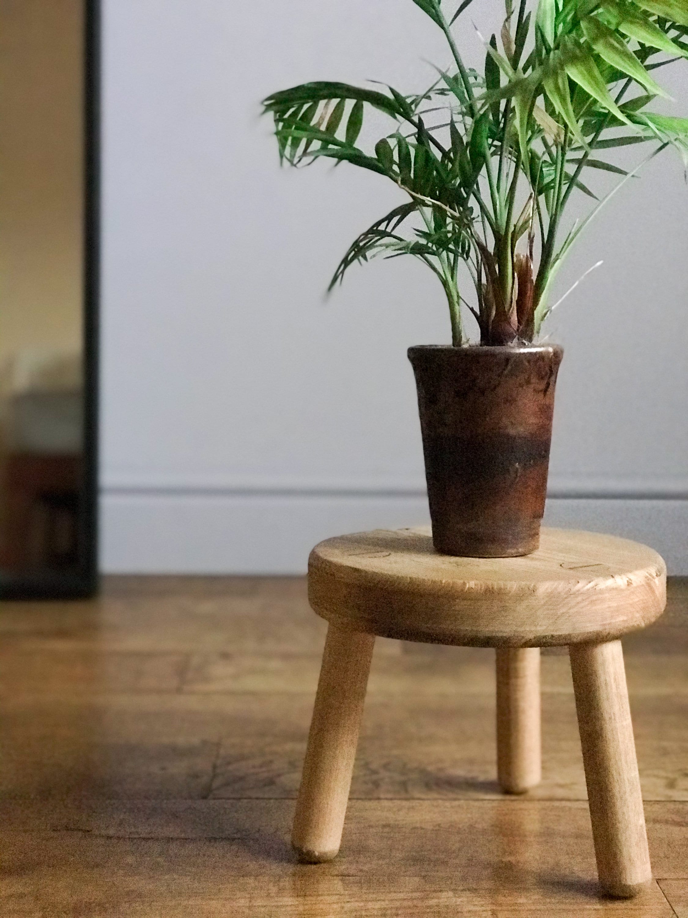 Round Rustic Plant Stool Reclaimed Wood Milking Stool Small - Etsy UK