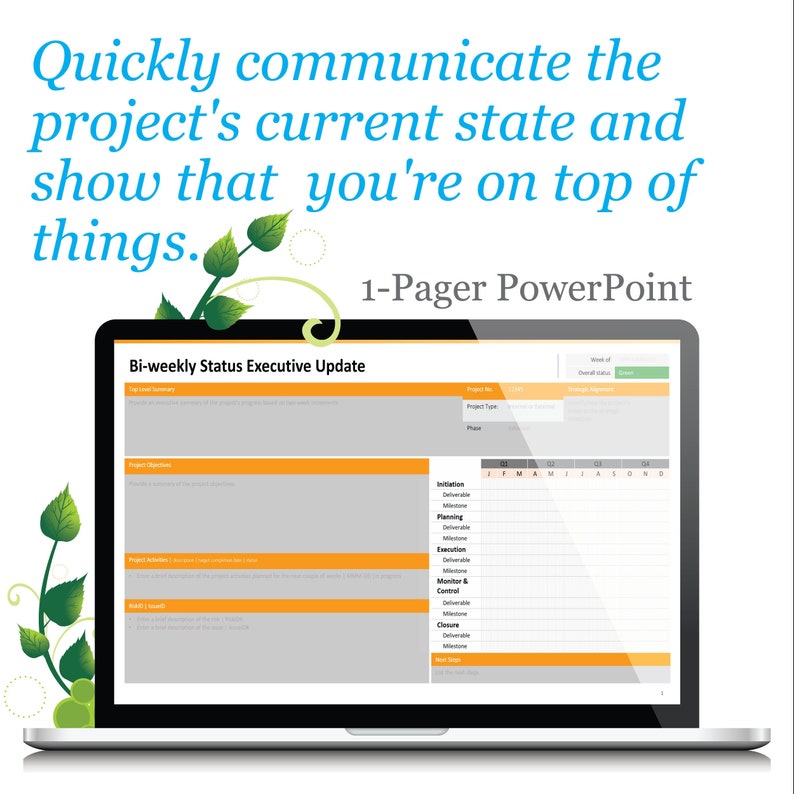 Bi-weekly Project Status Template | Business Plan | Project Management ...