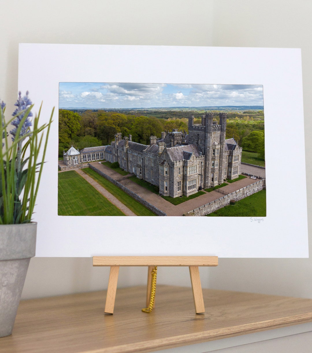 Crom Castle Drone | County Fermanagh - Etsy UK