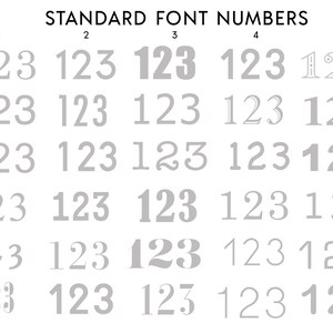 Frosted Etch Vinyl with House Number or Name Sticker Decal | Etsy