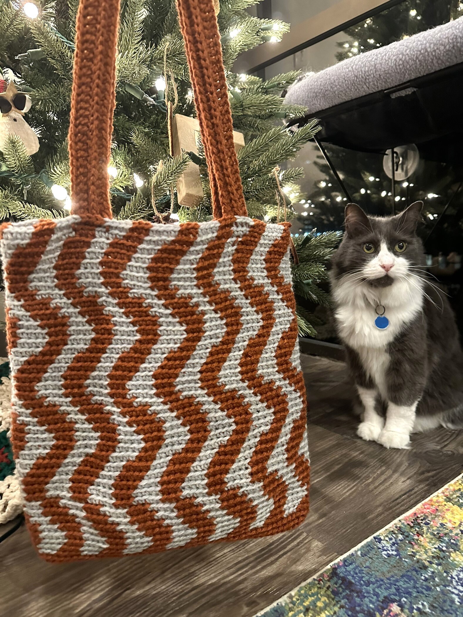 Wavy Days Tote Crochet Pattern - Etsy