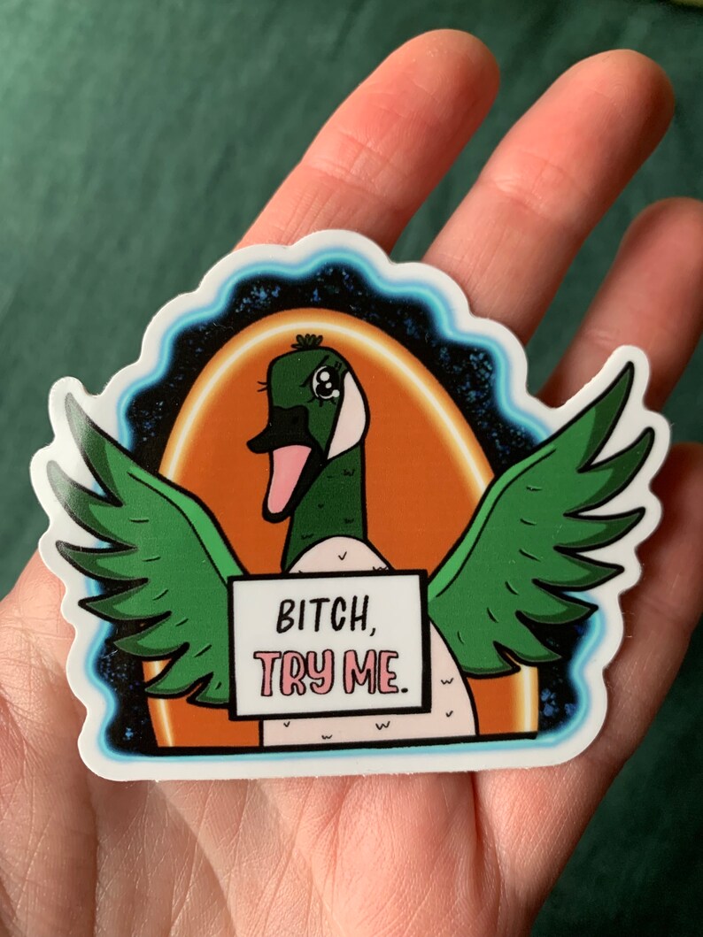 Vinyl Rude Canadian Goose Sticker for Water Bottles and More - Etsy