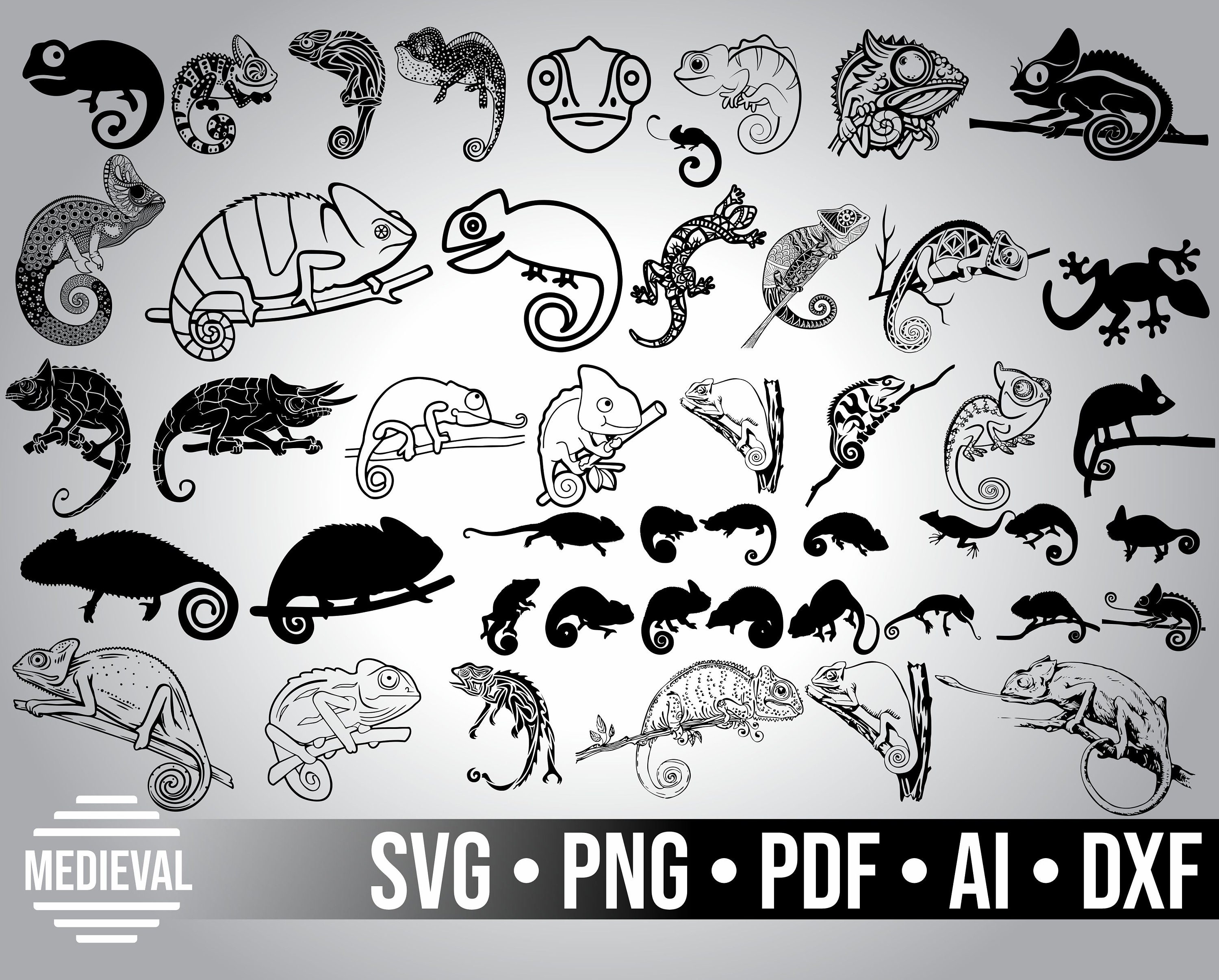 X45 CHAMELEON designs svg chameleon vector cut chameleon | Etsy