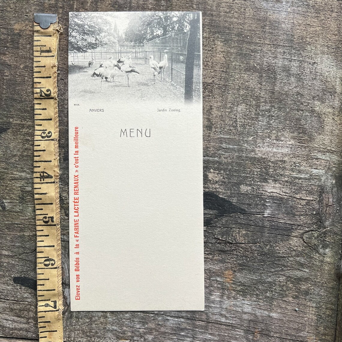 French Menus, Early 1900s | Antique Advertising Ephemera | Zoological ...