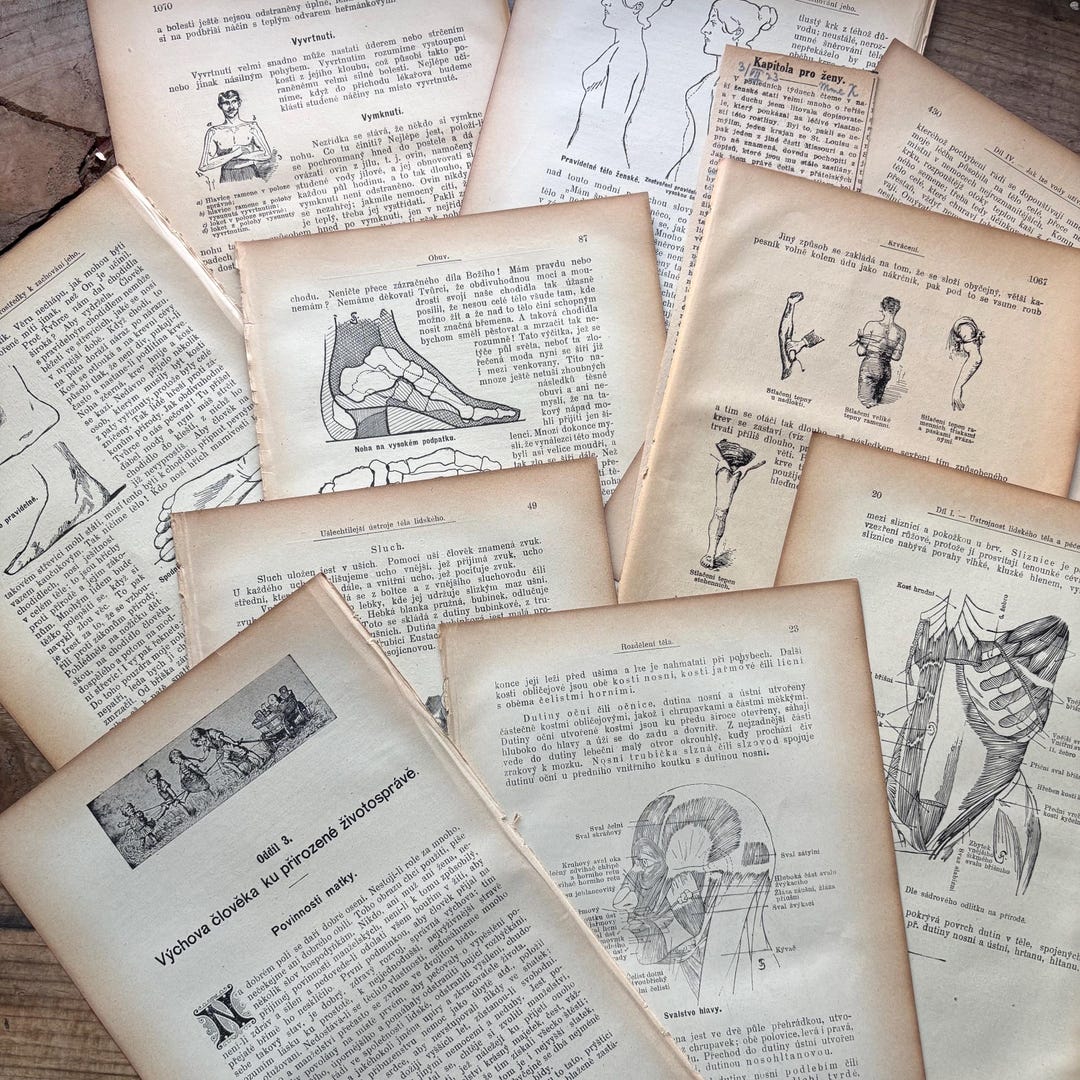 Antique Medical Book Page Bundles (1905) | 10 Pages, Illustrated ...