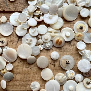 Antique Shell Buttons (early 1900s) | Lots of Four, Six, Eight | Three ...