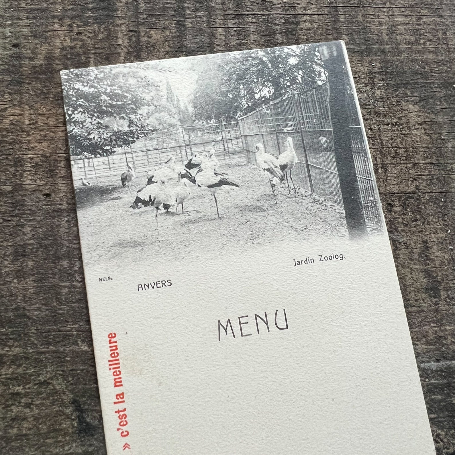 French Menus, Early 1900s | Antique Advertising Ephemera | Zoological ...