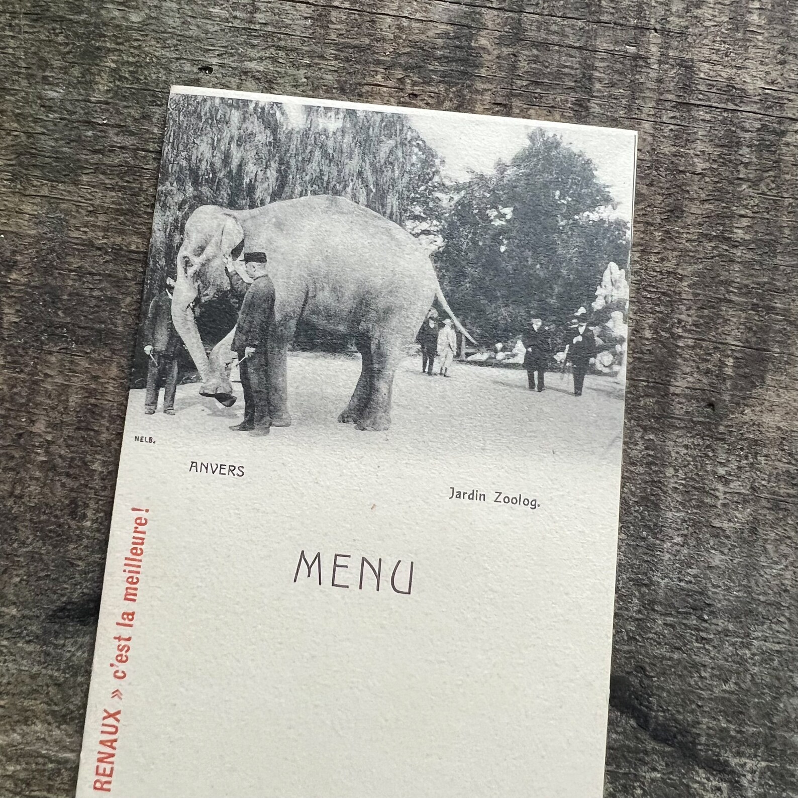 French Menus, Early 1900s | Antique Advertising Ephemera | Zoological ...