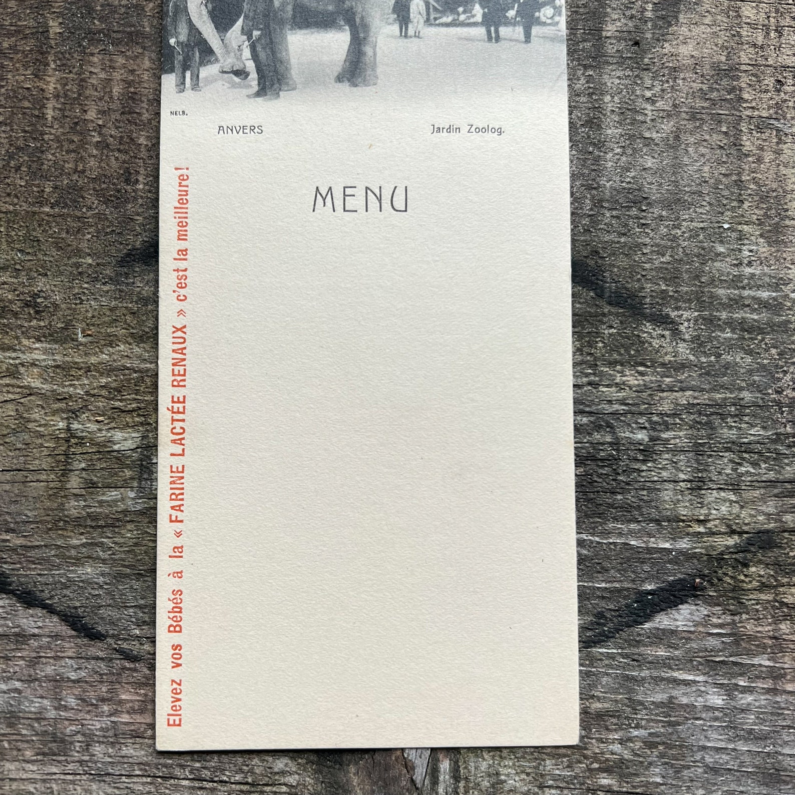 French Menus, Early 1900s | Antique Advertising Ephemera | Zoological ...