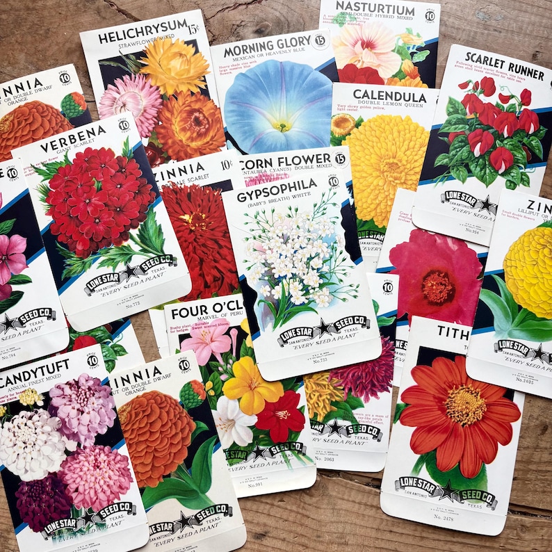 Vintage Seed Packets (1940s) | Bundles of One, Five or Ten | Lone Star ...