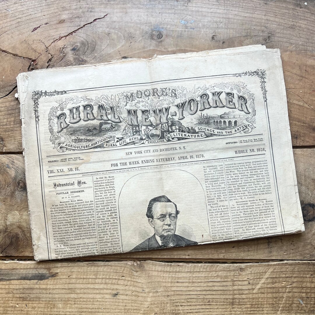 Moore’s Rural New Yorker (1870) | Antique Newspaper | Vintage New ...