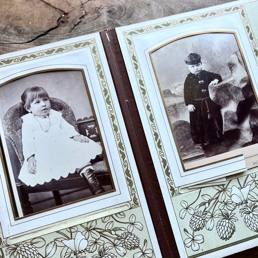 Victorian Album, Blue Velvet c. 1880s 15 Photos Bees, Floral Design ...