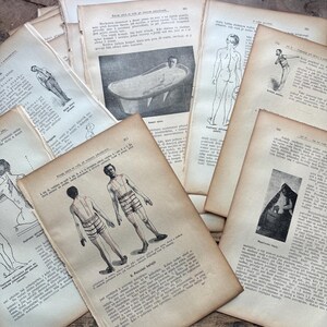 Antique Medical Book Page Bundles (1905) | 10 Pages, Illustrated ...