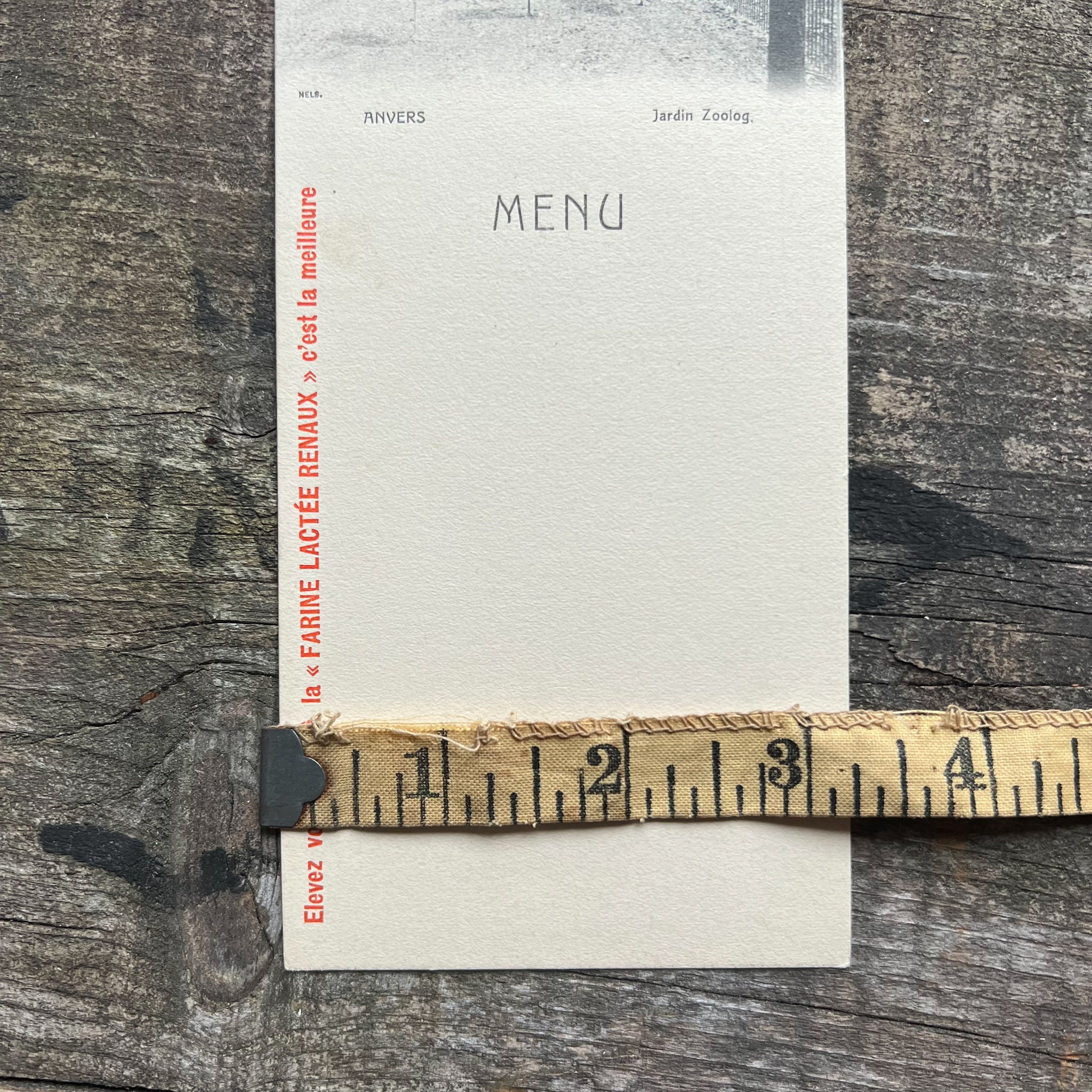French Menus, Early 1900s | Antique Advertising Ephemera | Zoological ...