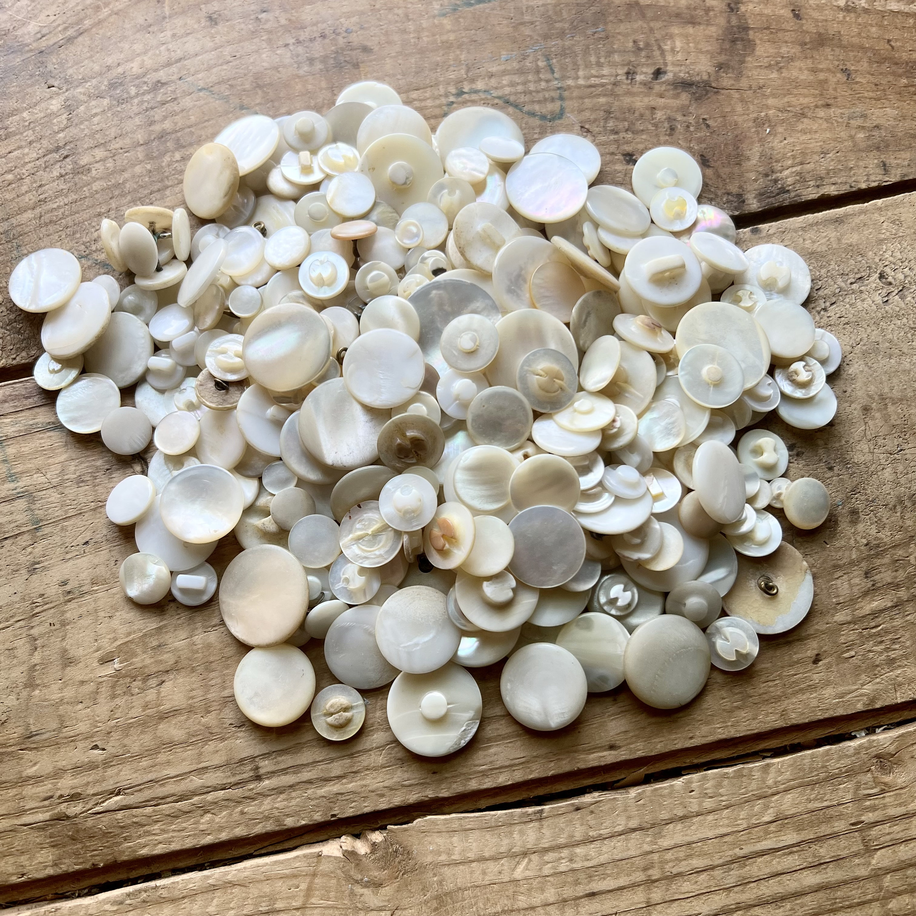 Antique Shell Buttons early 1900s Lots of Four, Six, Eight Three Sizes ...