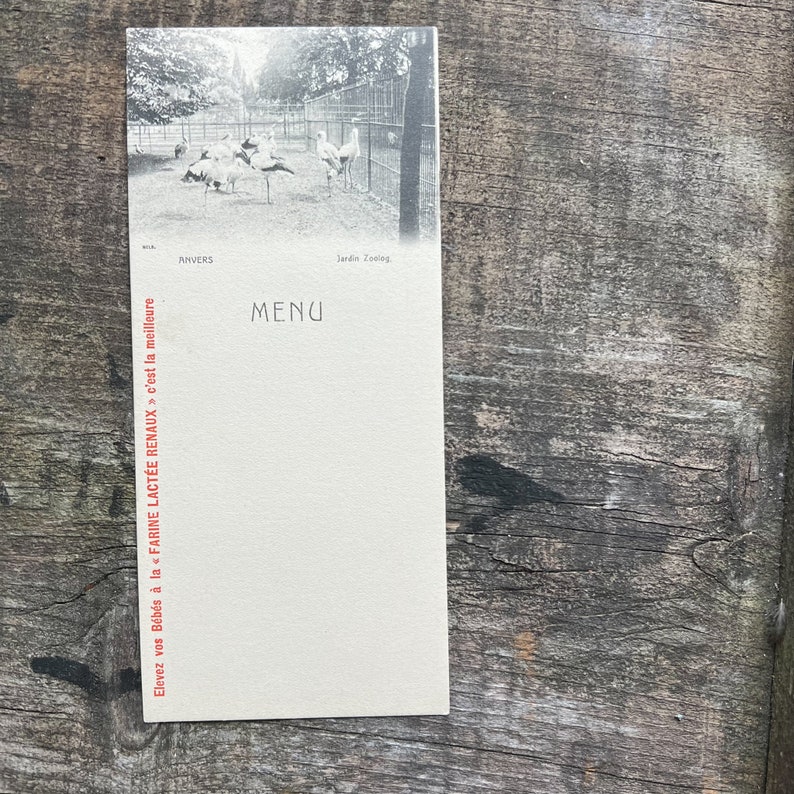 French Menus, Early 1900s | Antique Advertising Ephemera | Zoological ...