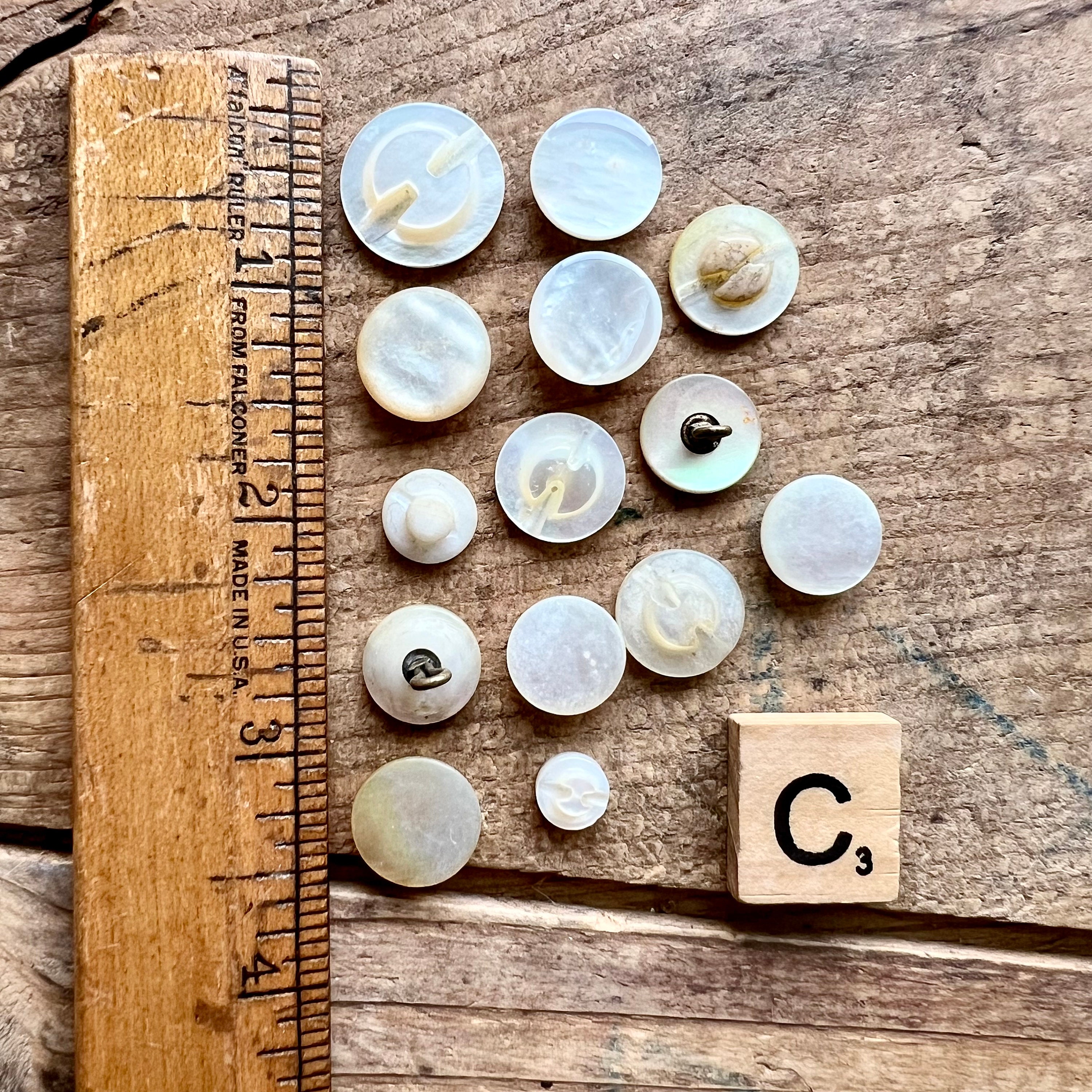 Antique Shell Buttons early 1900s Lots of Four, Six, Eight Three Sizes ...