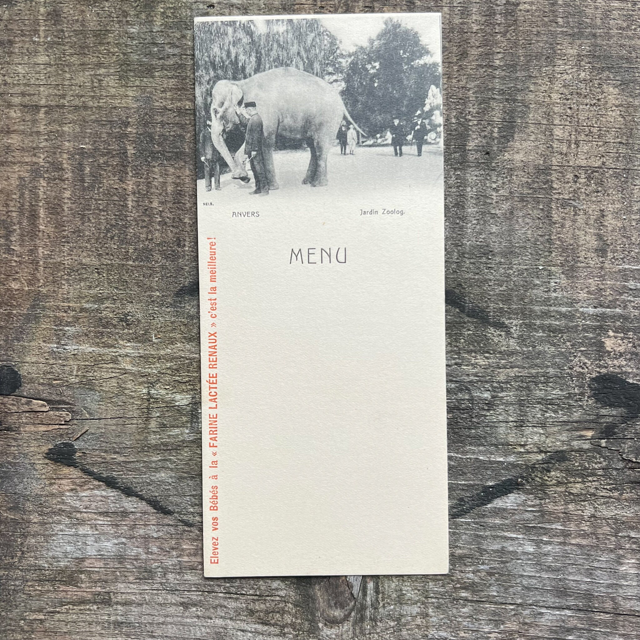 French Menus, Early 1900s | Antique Advertising Ephemera | Zoological ...