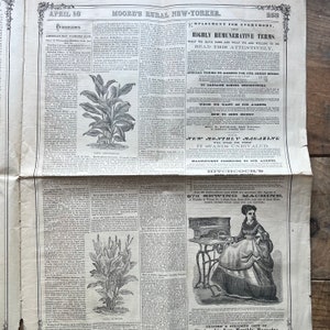 Moore’s Rural New Yorker (1870) | Antique Newspaper | Vintage New ...