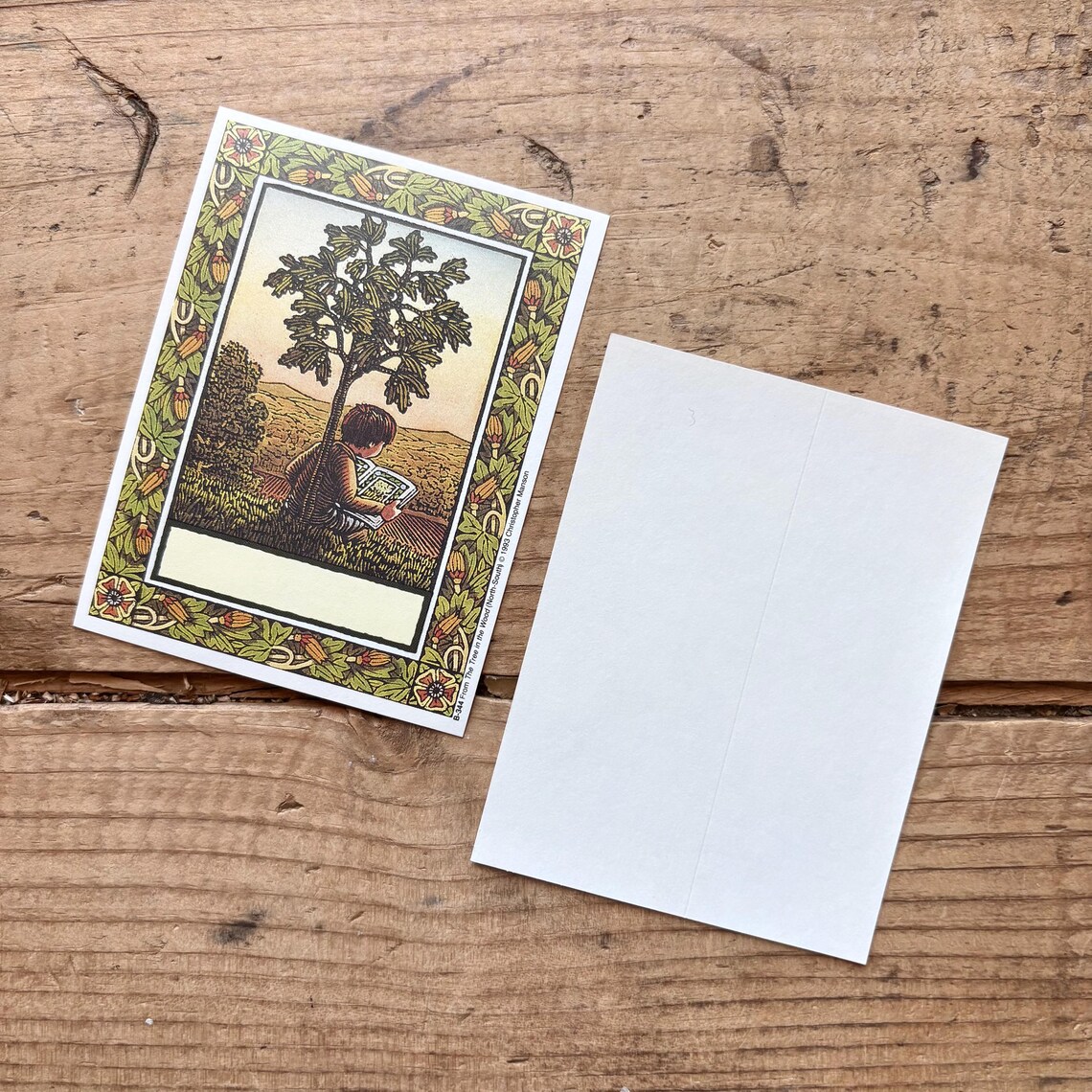 Tree in the Wood Bookplates (1993) | 30 Plates & Box | Christopher ...