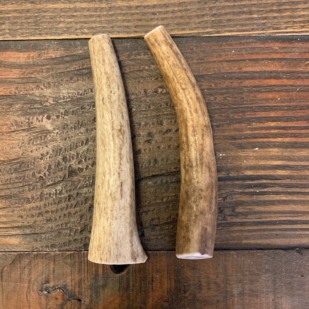 2 Pack Whole Elk Antler Dog Chew | Antler Chew | Deer Antler Dog Chew ...