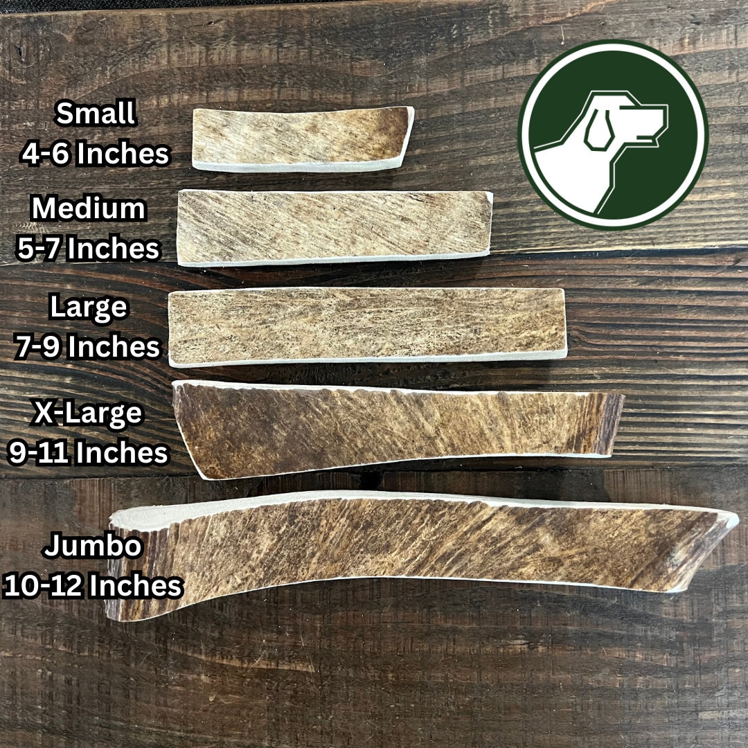 Moose Paddle Antler Dog Chew | Antler Chew | Moose Antler Dog Chew ...
