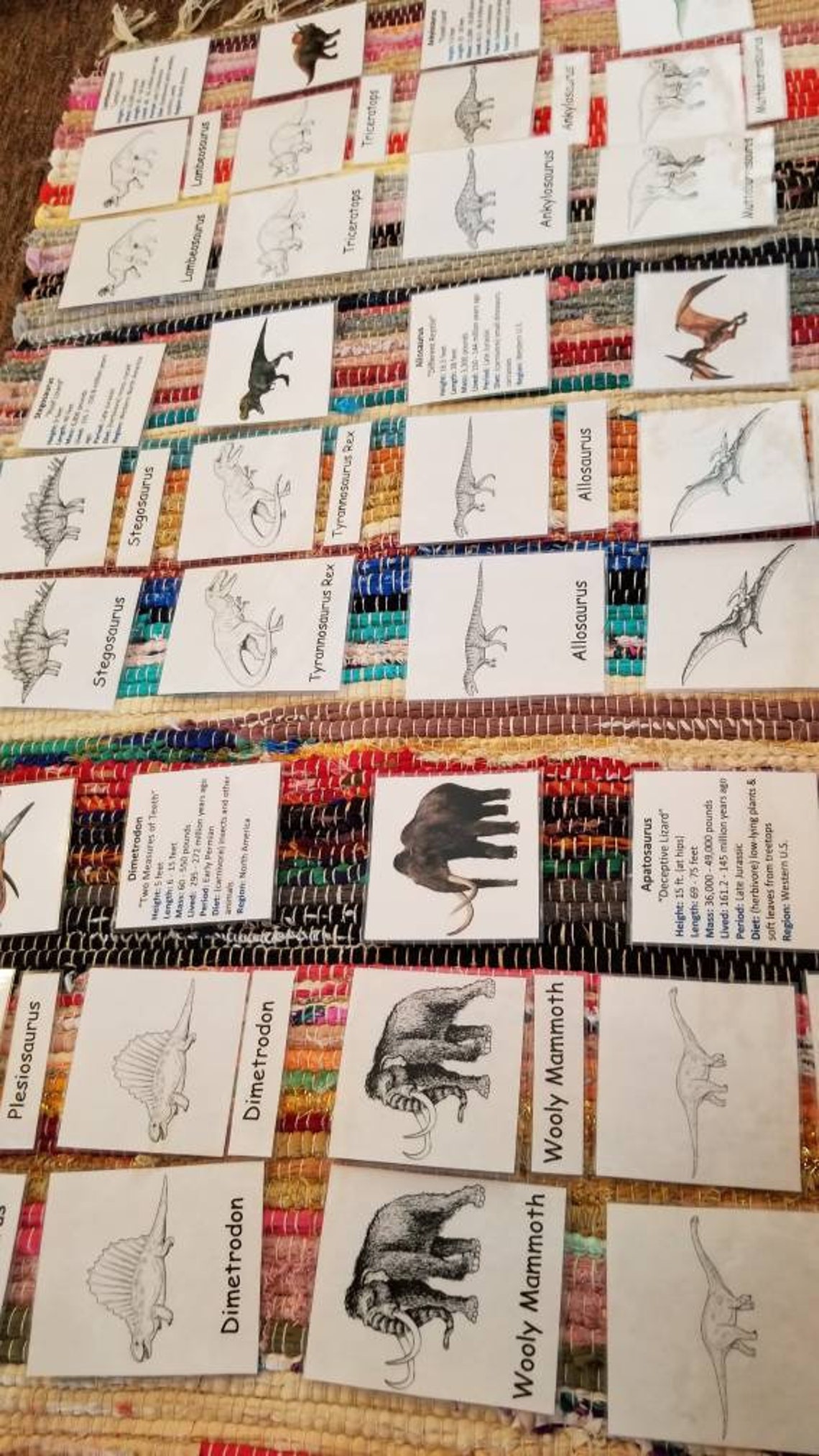 Montessori Nomenclature 3 Part Card Set With Bonus | Etsy