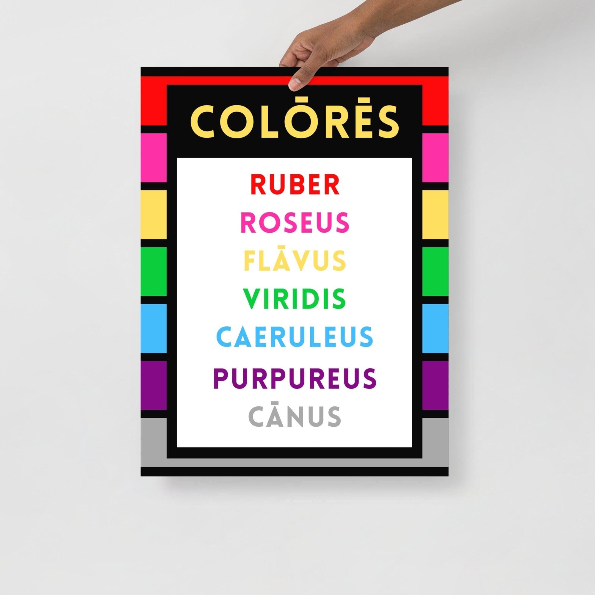 Latin Colors Poster for Classroom - Latin Teacher Gift - Latin ...