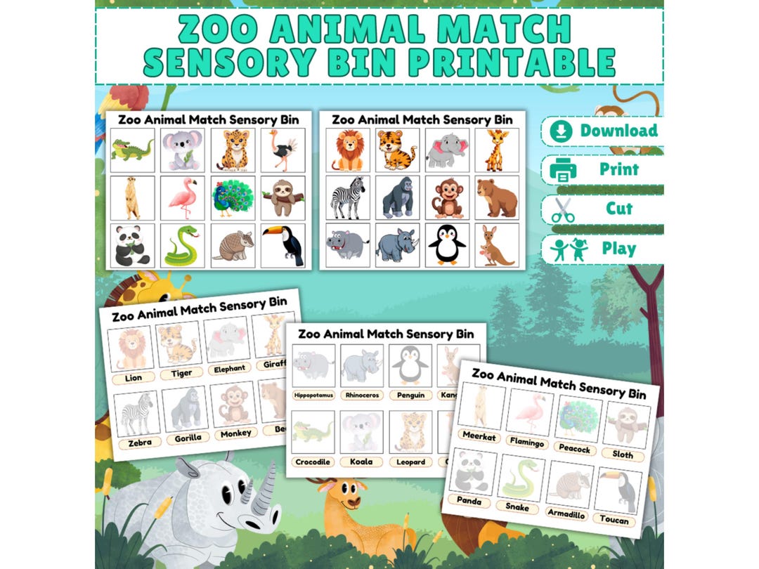 Animal Match Sensory Bin Activity Set- Preschool, Homeschool, Special ...