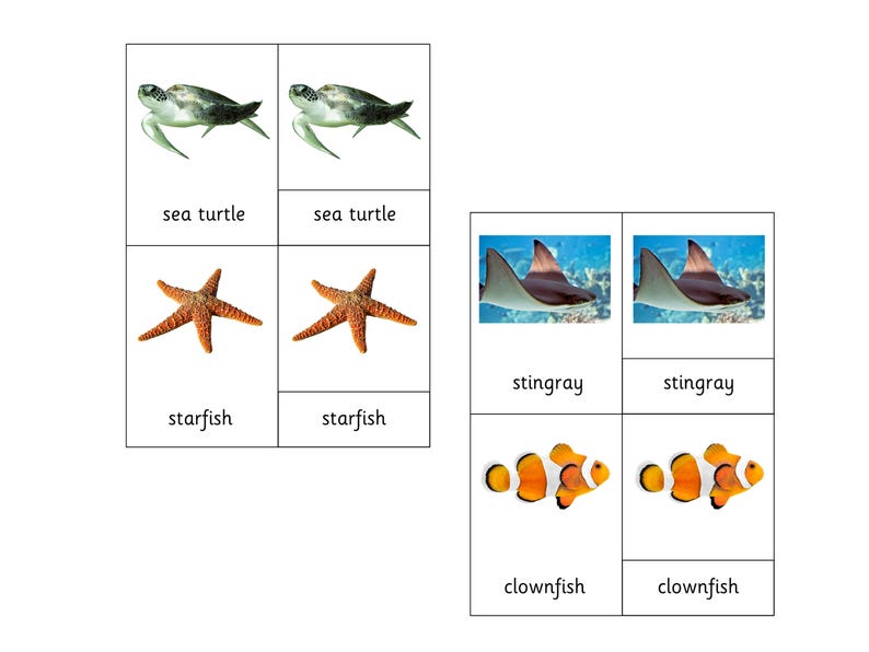 3 Part Cards- Sea Animals- Montessori Nomenclature Cards- Flash Cards ...