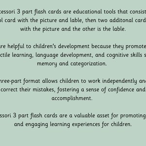 Insects- Montessori 3 Part Flash Cards- Real Pictures- Instant Download ...