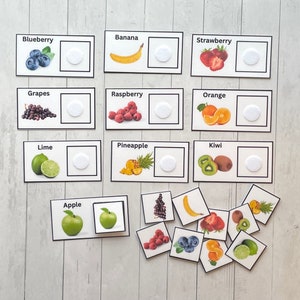 Fruit Matching- Task Box Activity Set- for Toddlers, Preschool ...