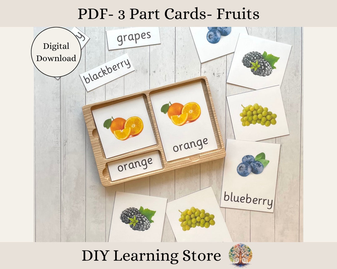 Fruits- Montessori 3 Part Flash Cards- Montessori Toys and Games ...