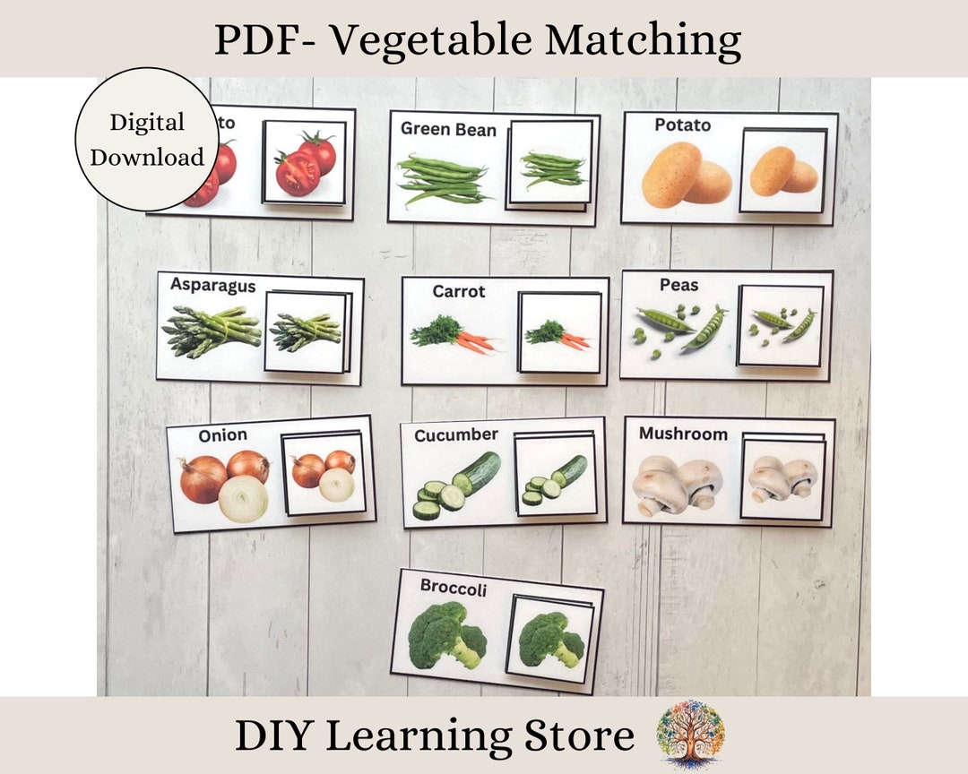 Vegetable Matching- Task Box Activity Set- for Preschool, Toddlers ...