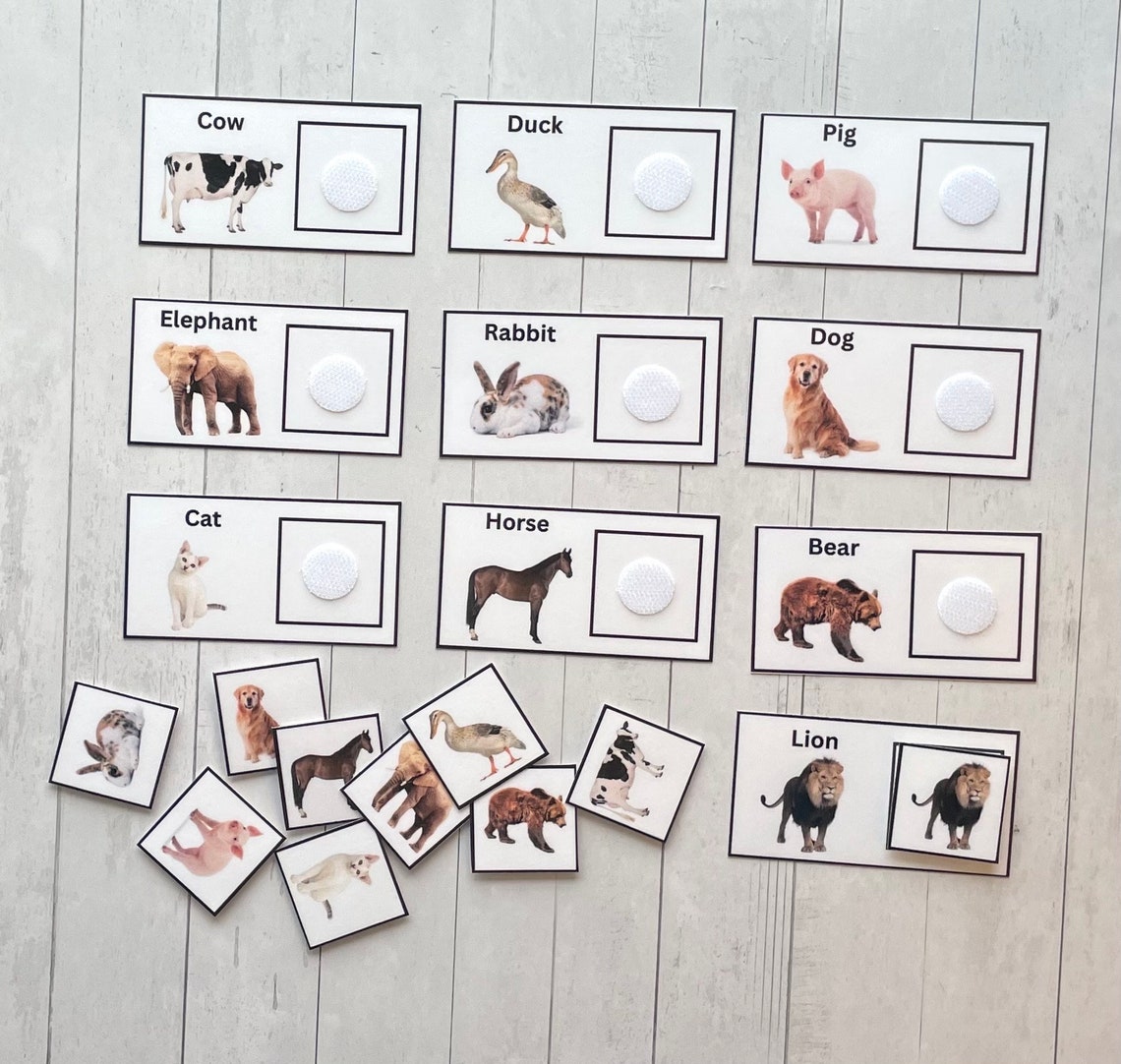 Animal Matching- Task Box Activity Set- for Preschool, Toddlers ...