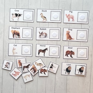 Animal Matching- Task Box Activity Set- for Preschool, Toddlers ...