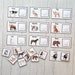 Animal Matching- Task Box Activity Set- for Preschool, Toddlers ...