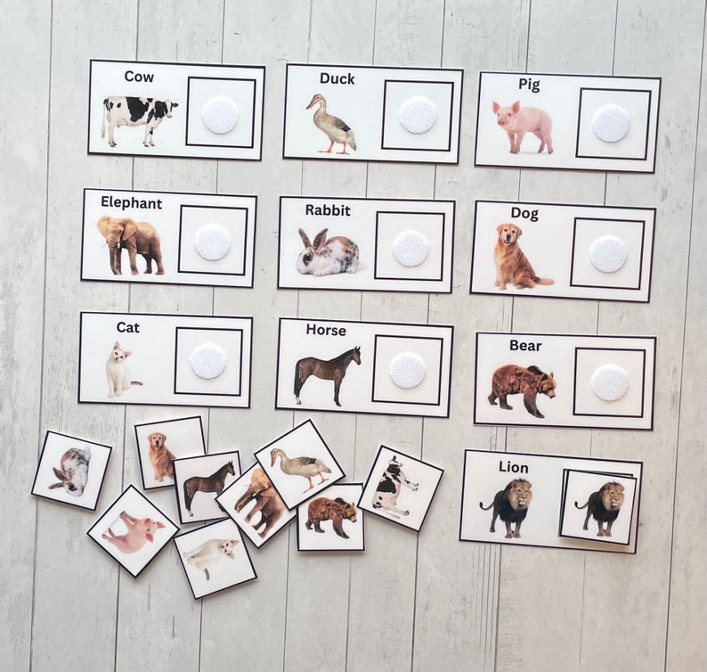 Animal Matching- Task Box Activity Set- for Preschool, Toddlers ...