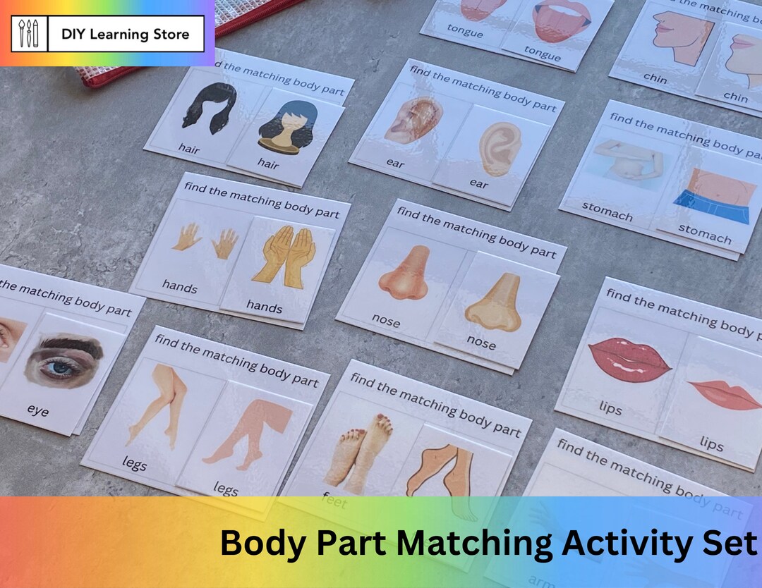 PDF Body Parts Matching Life Skills Activity Set Multiple Difficulty ...